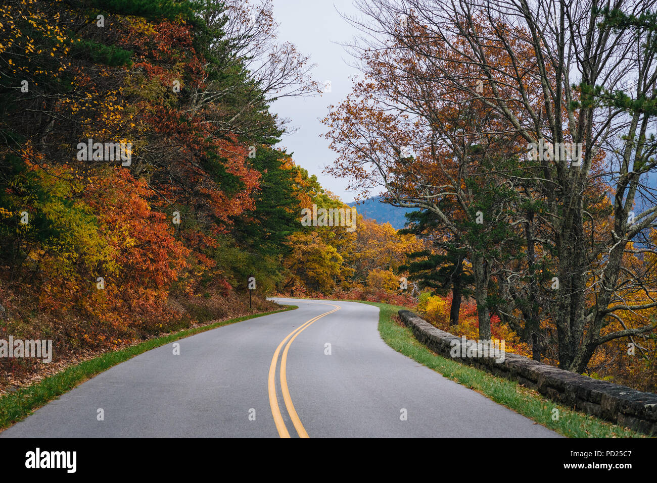 Fall foliage along the Blue Ridge Parkway in the Appalachian Mountains ...