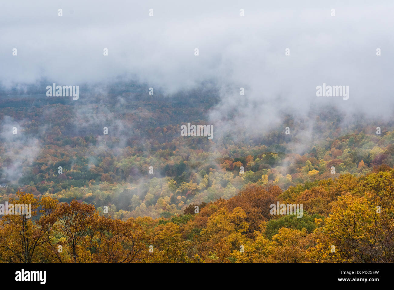 Foggy autumn view from the Blue Ridge Parkway, in Virginia Stock Photo ...