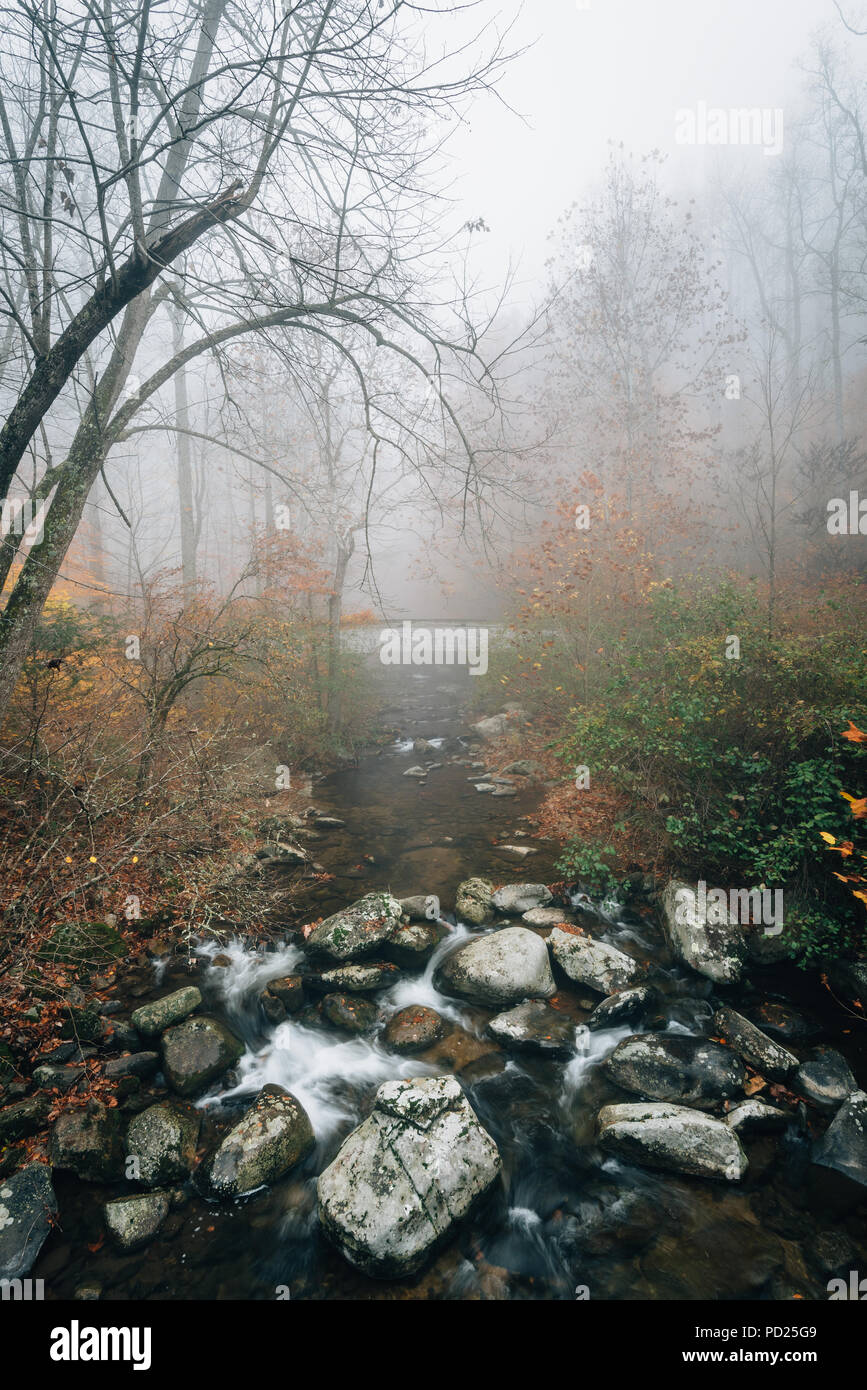 Foggy autumn view of the Tye River, near Crabtree Falls, in George ...