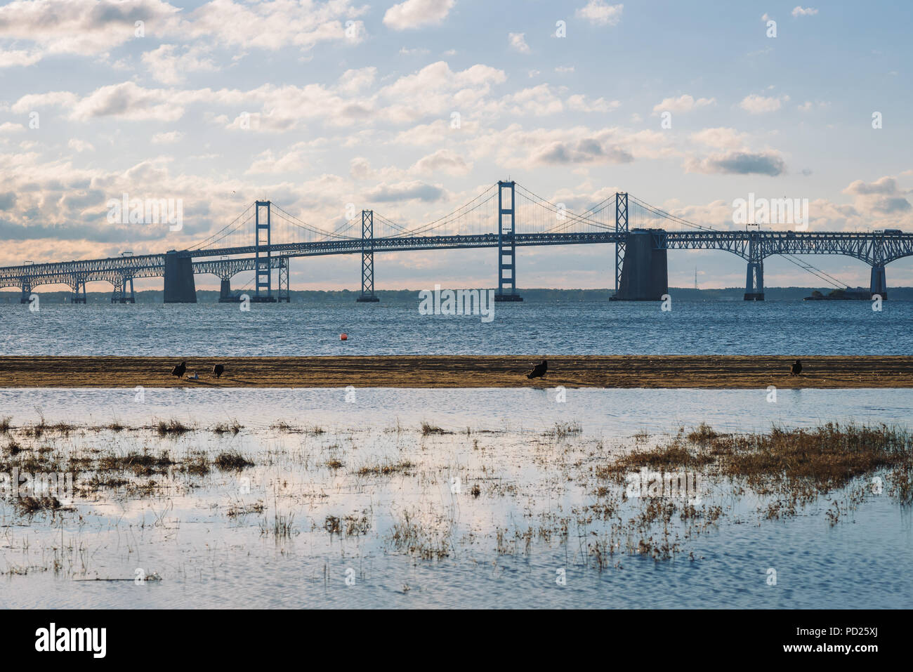 Sunrise view of the Chesapeake Bay Bridge from Sandy Point State Park ...