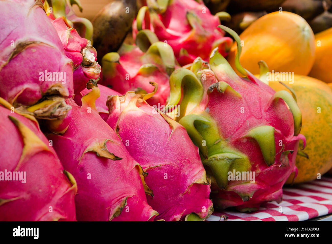 dragon fruit.Dragon fruit is a fruit of the cactus plant that grows in ...