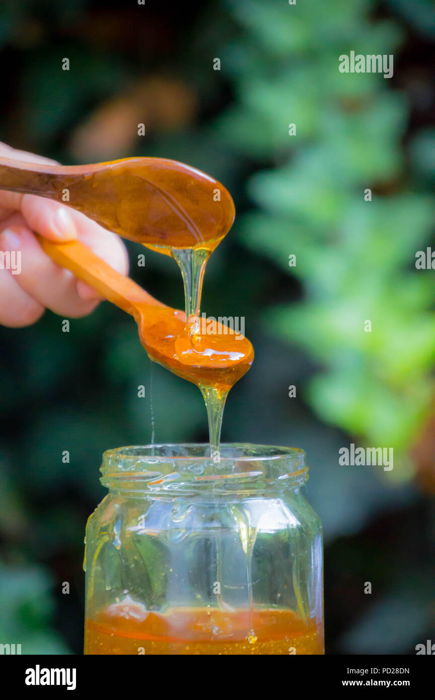 Honey spilling from a wooden spoon into a jar Stock Photo - Alamy