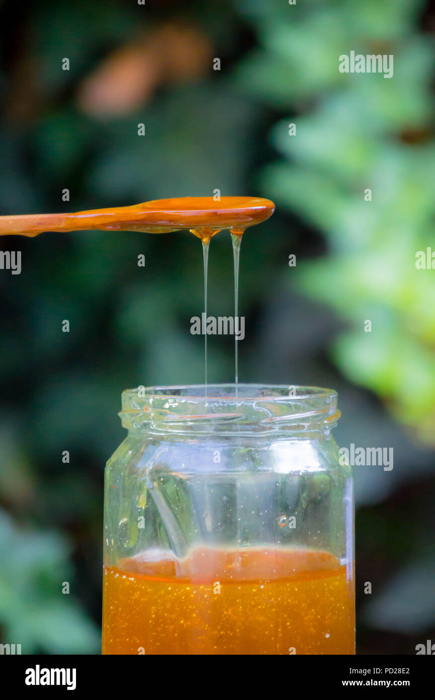 Honey spilling from a wooden spoon into a jar Stock Photo - Alamy