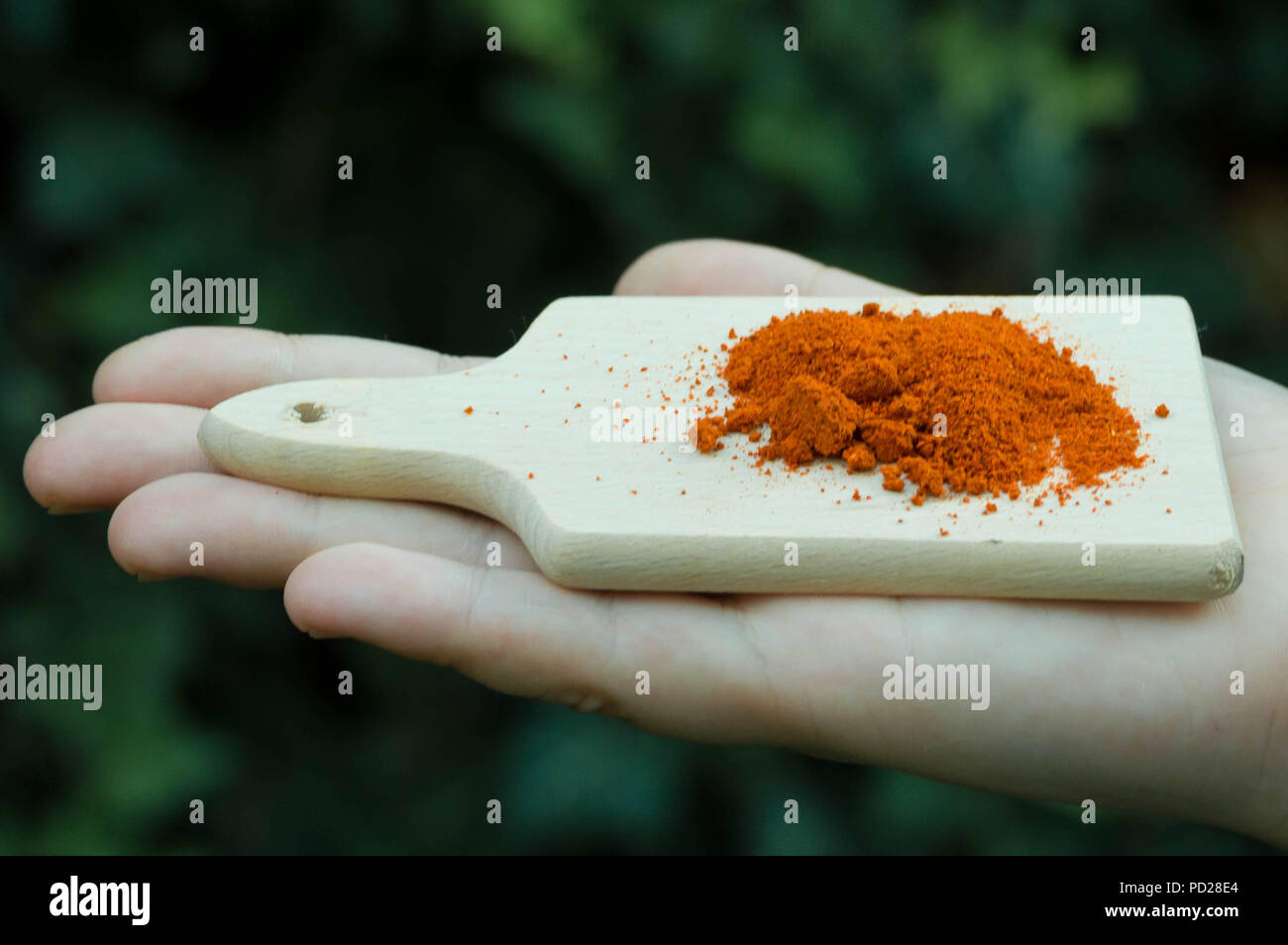 Spices - hand holding miniature cutting board with pepper powder Stock ...