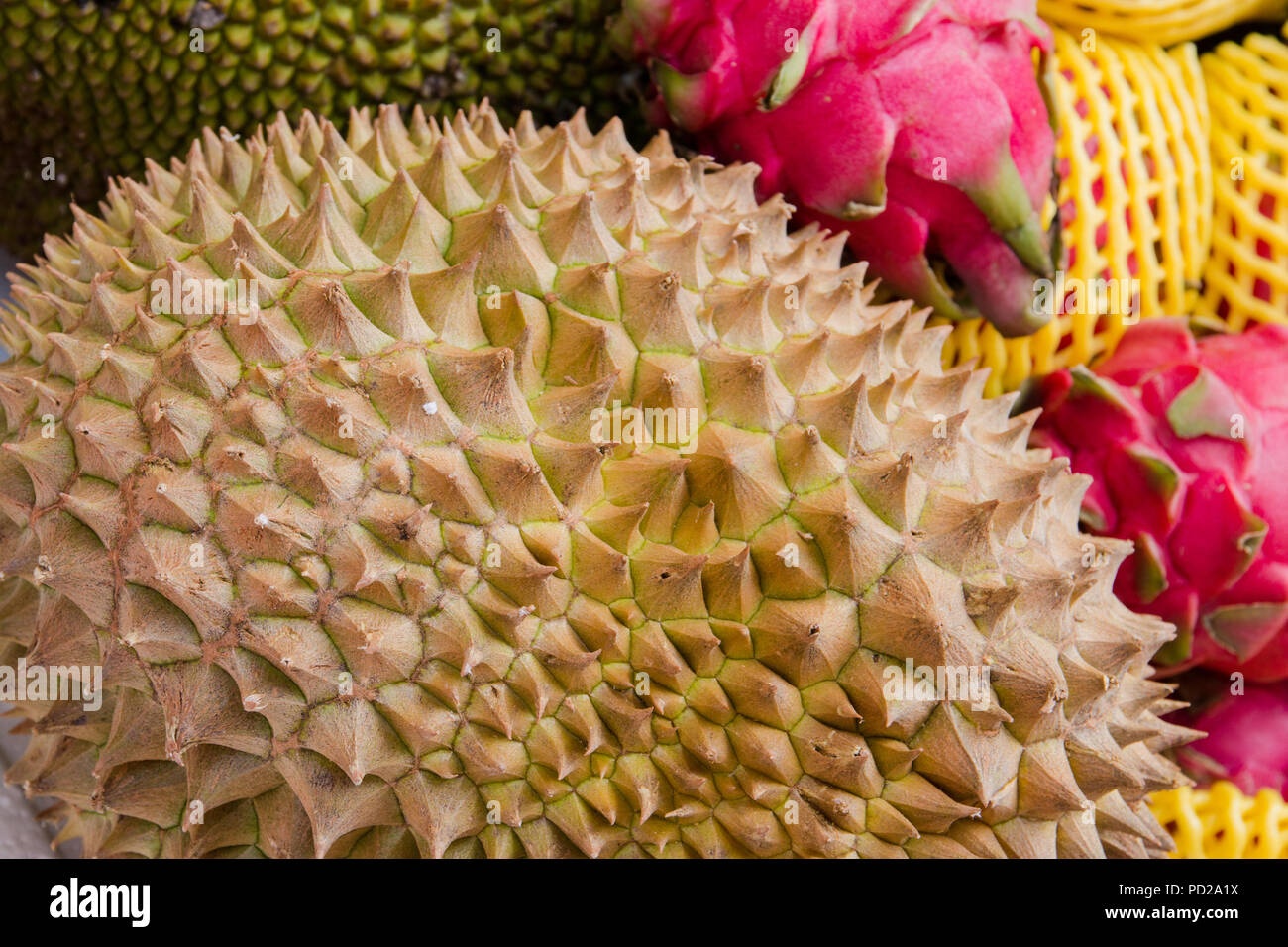 Close up durians hi-res stock photography and images - Alamy
