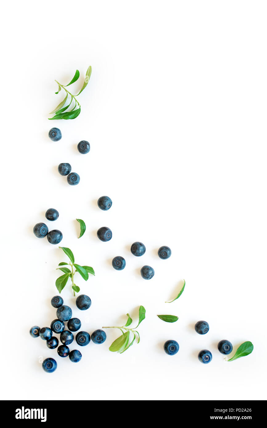 Fresh blueberries with green leaves leaves, organic blueberry border ...