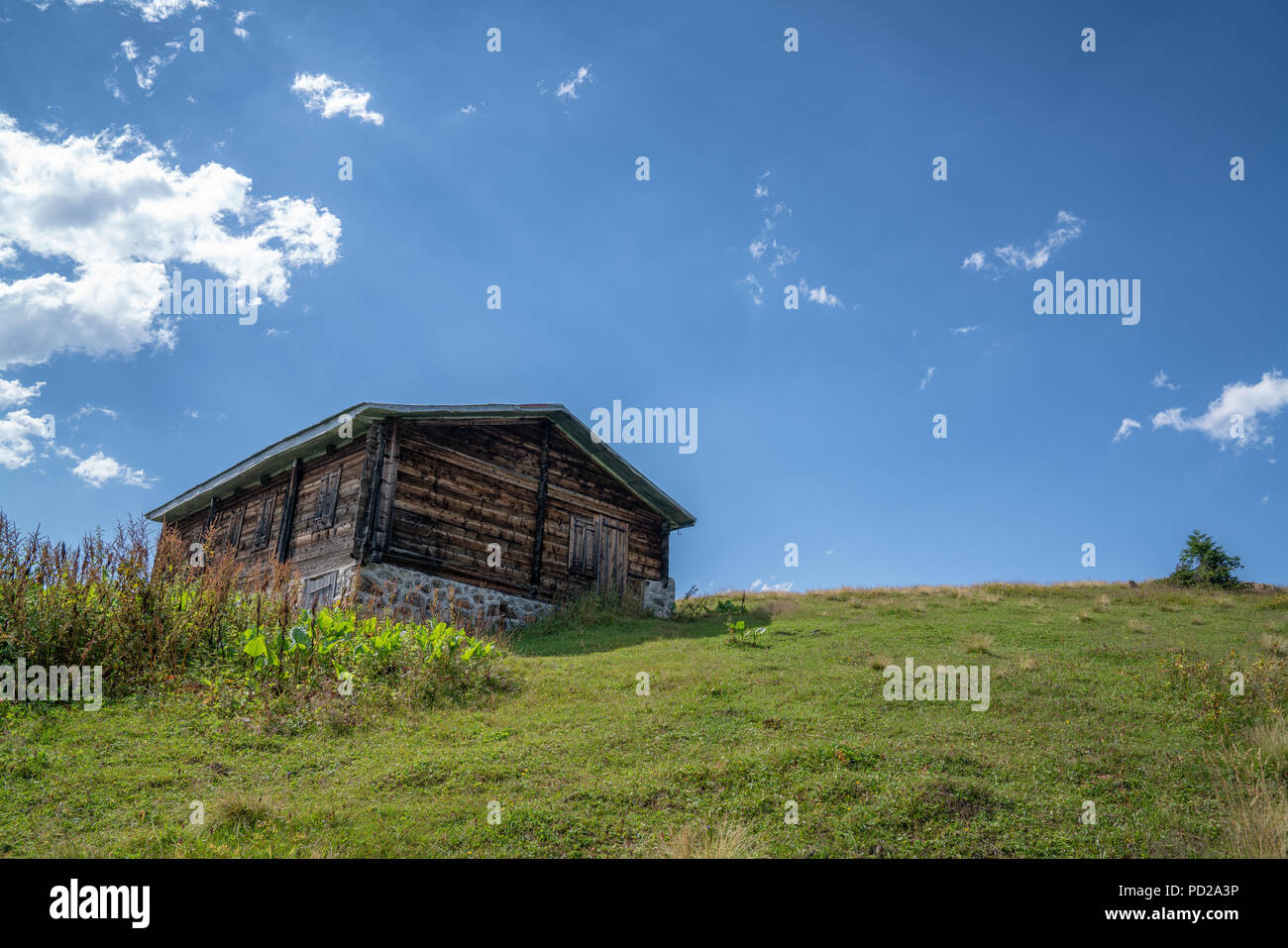 Wooden old bungalow house in green nature. Rize,Turkey Stock Photo - Alamy