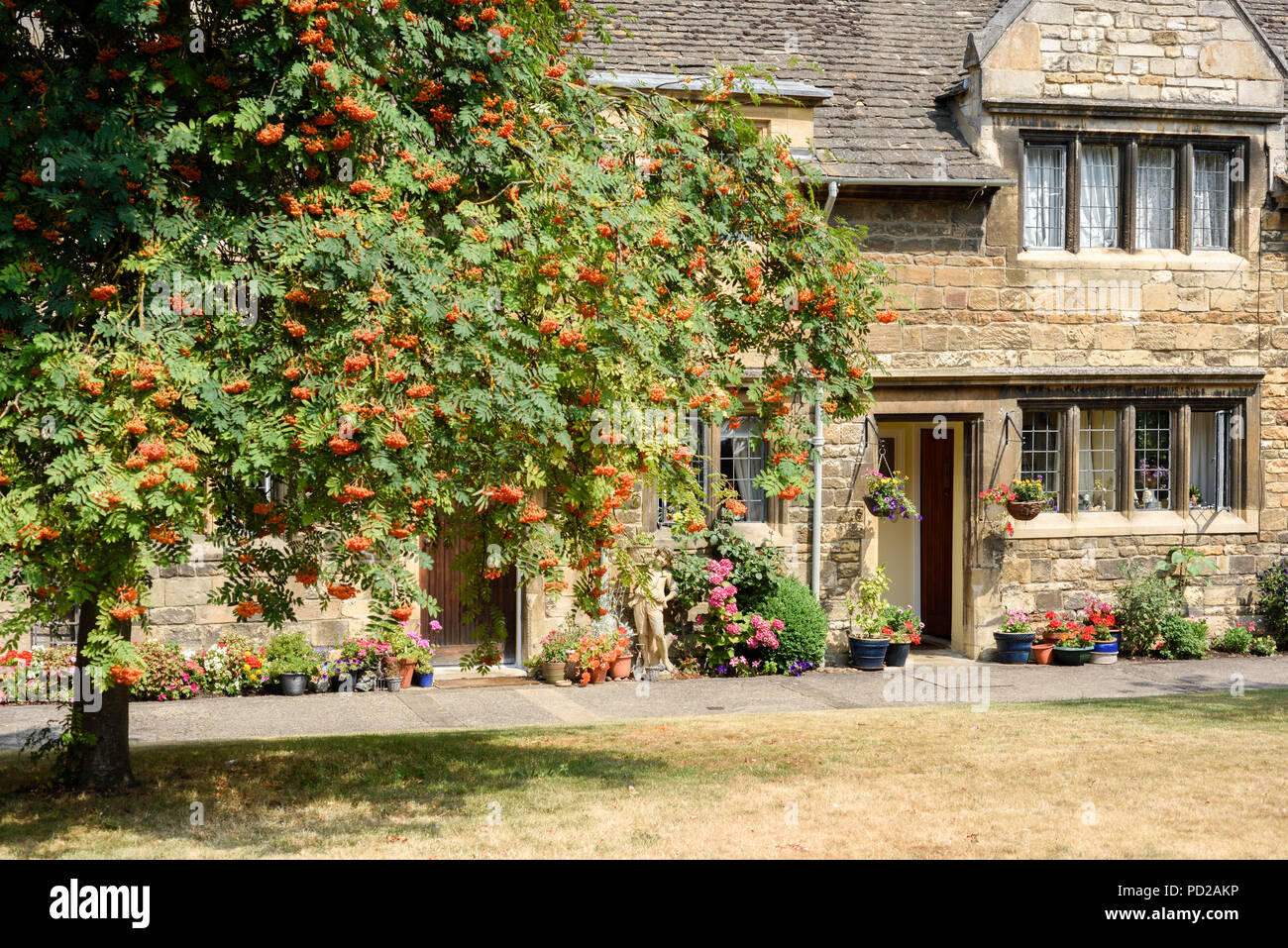 Stamford, Lincolnshire, UK. Rowan Tree and stone cottage Stock Photo ...