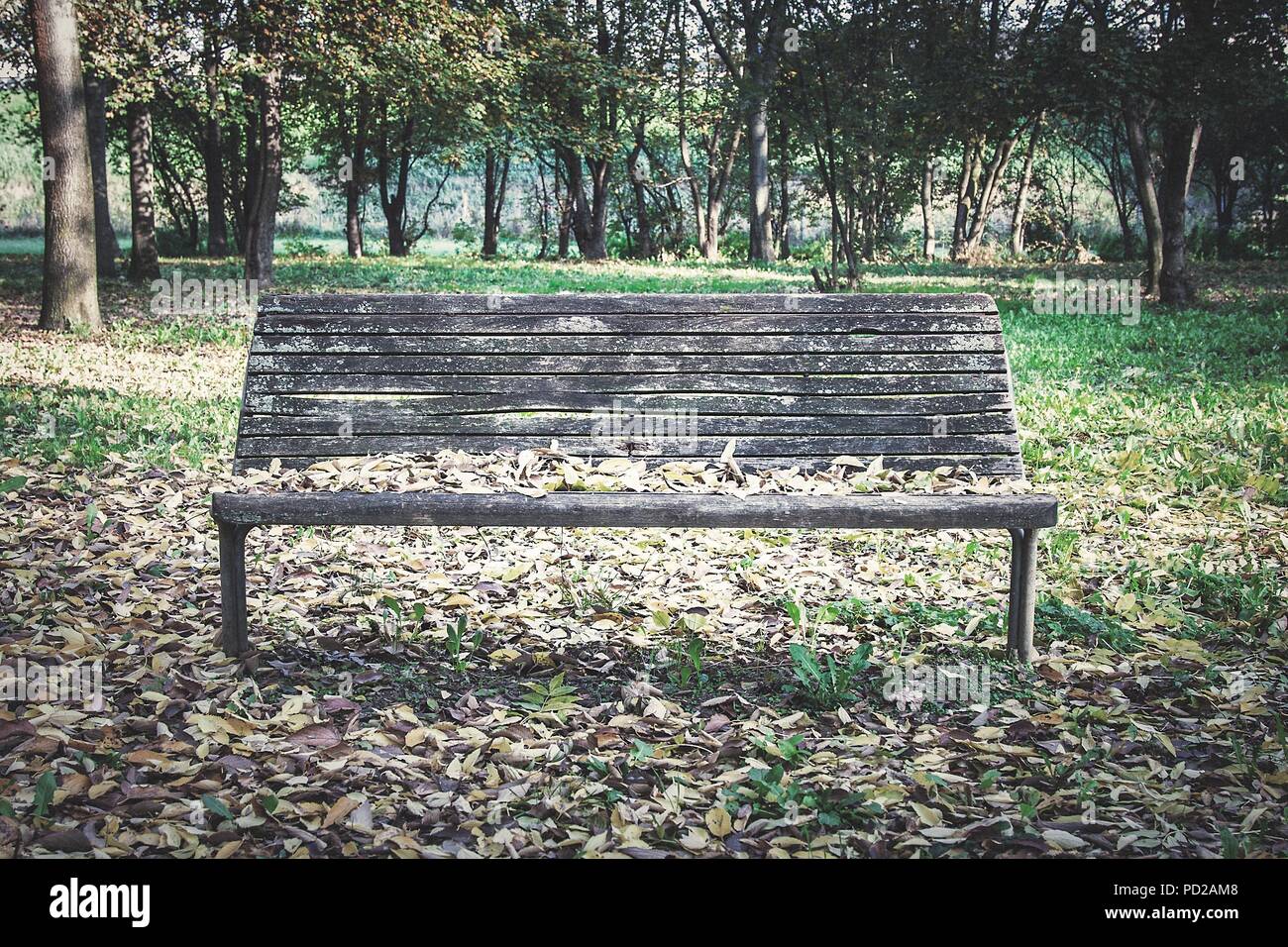 Fallen chair wooden hi-res stock photography and images - Alamy