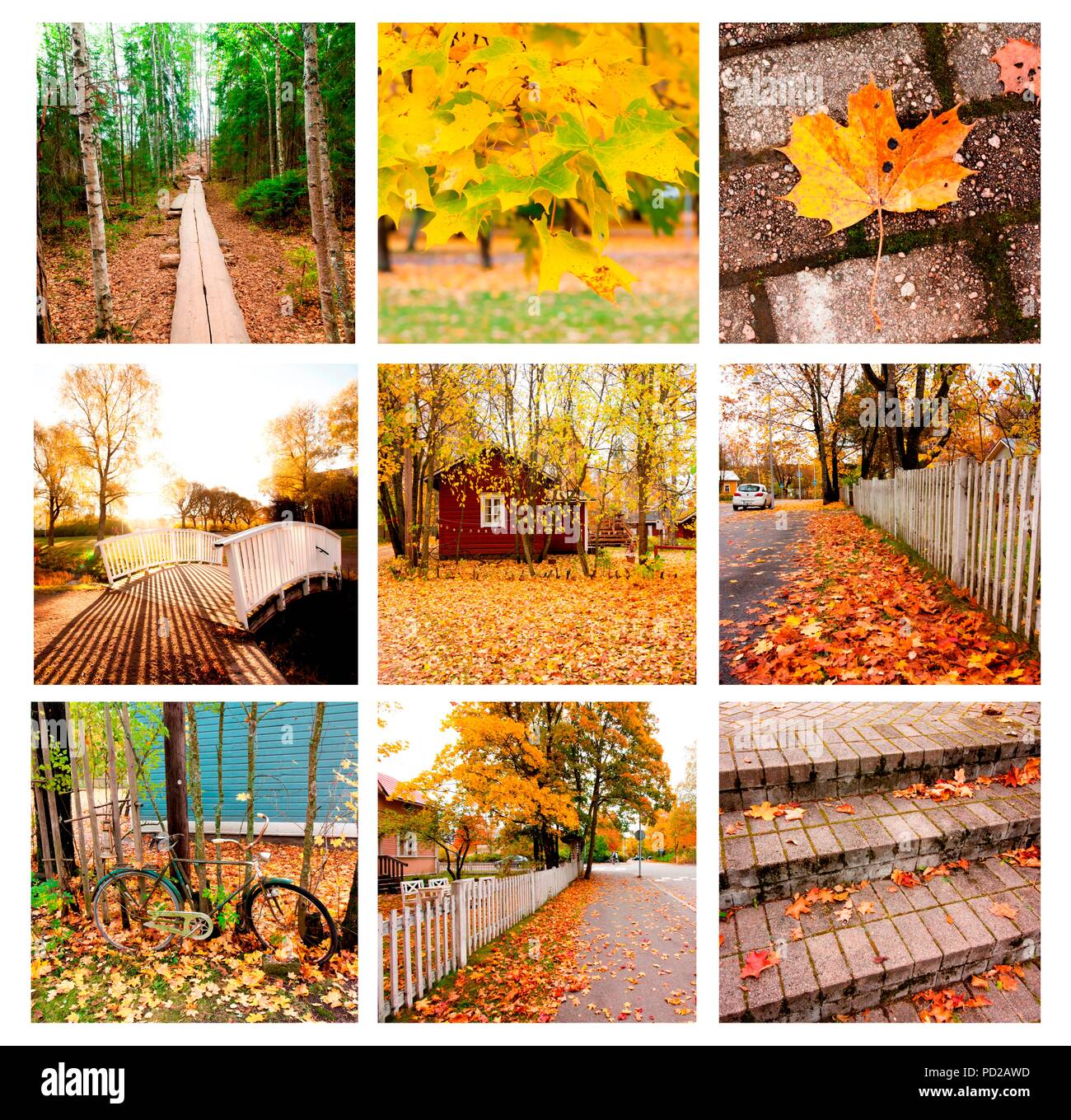 Collage beautiful nature landscapes hi-res stock photography and images ...