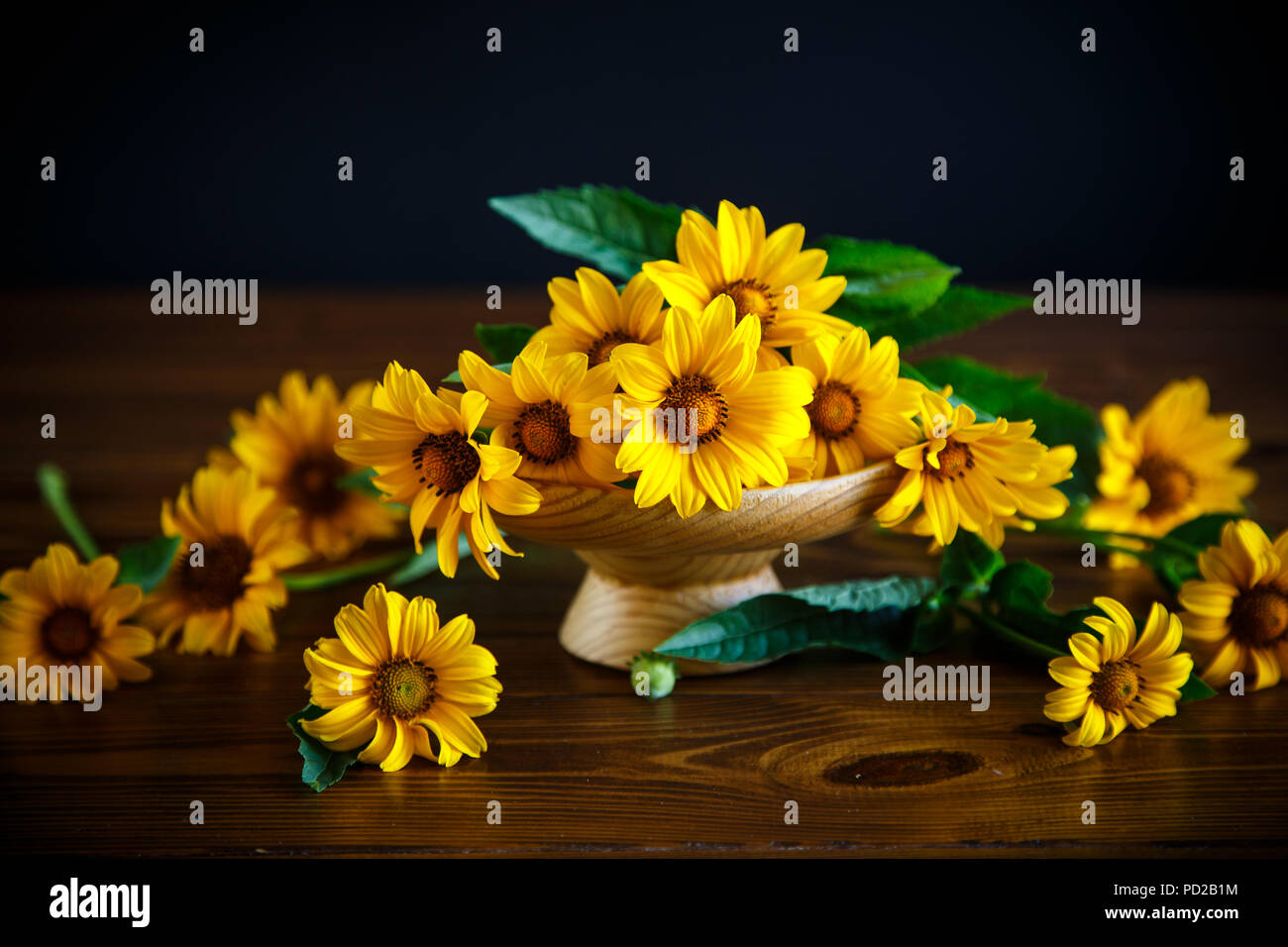 Big yellow daisies hi-res stock photography and images - Alamy
