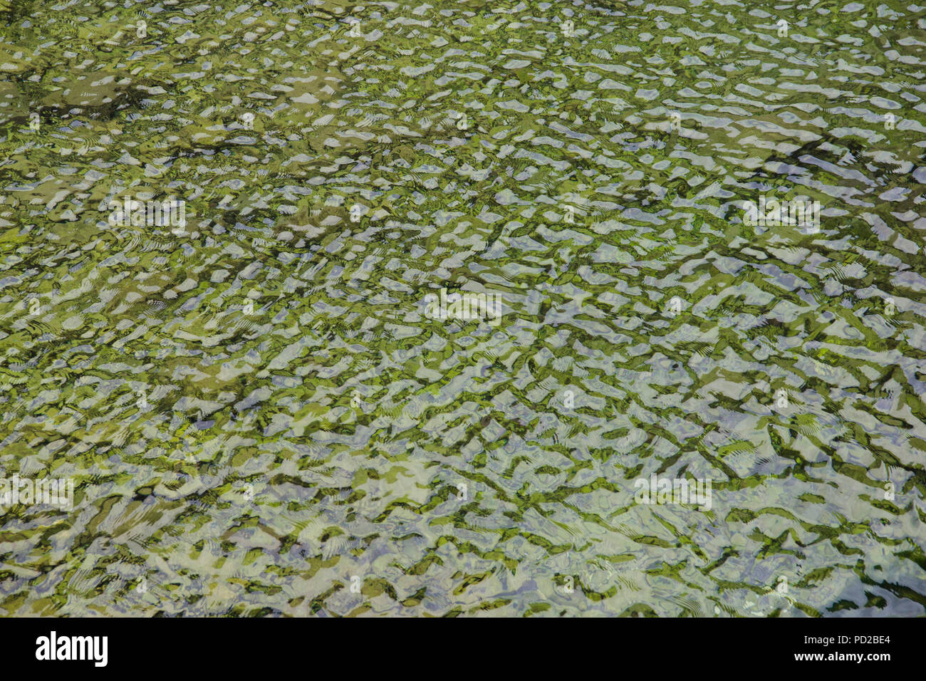 Green sea surface hi-res stock photography and images - Alamy