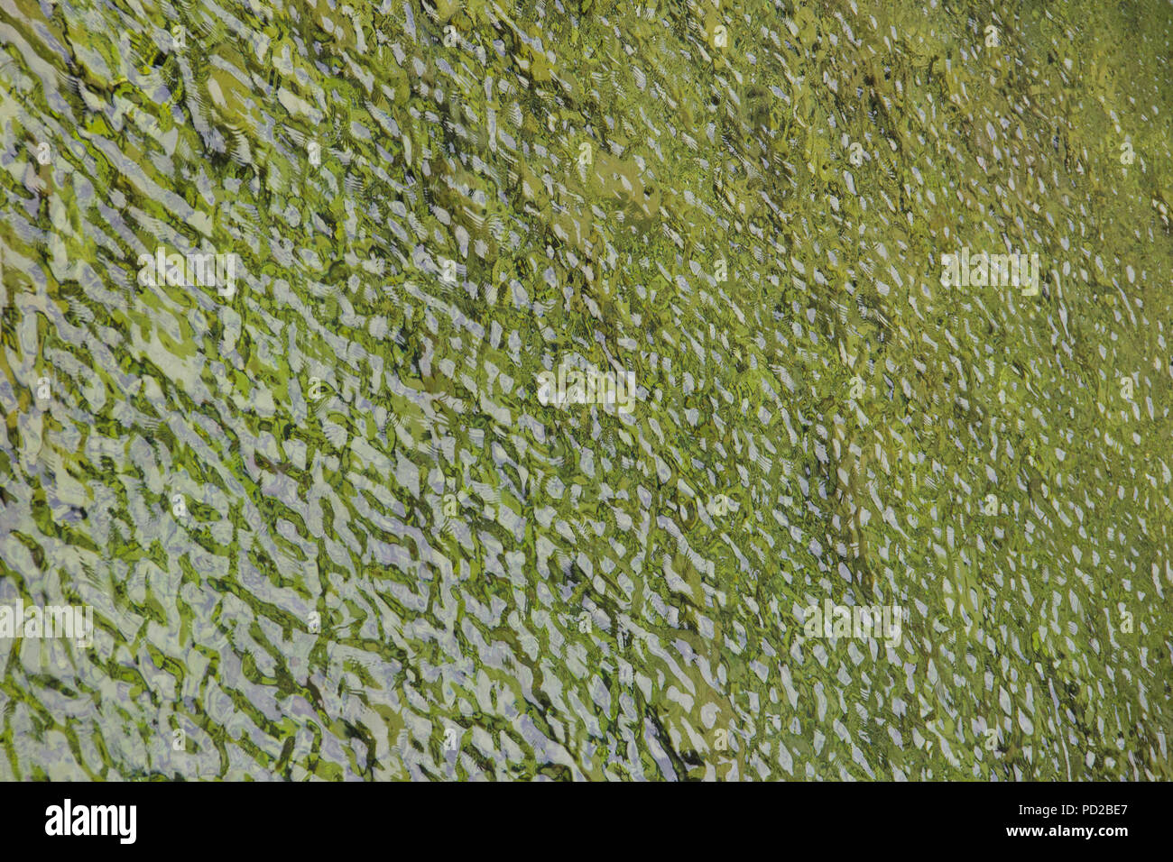 Green sea surface hi-res stock photography and images - Alamy