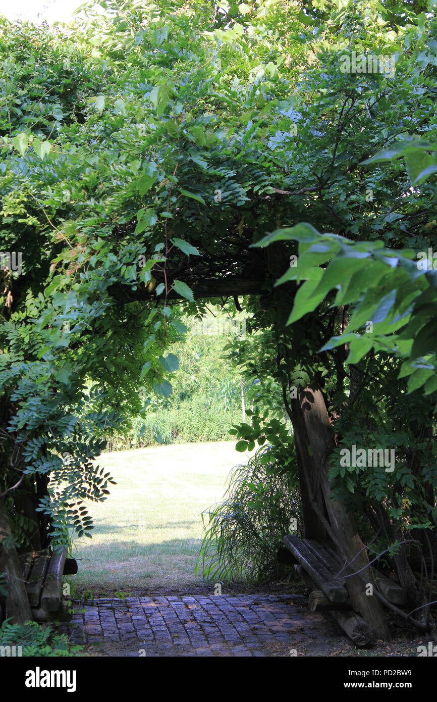 Dense overgrown area bushes hi-res stock photography and images - Alamy