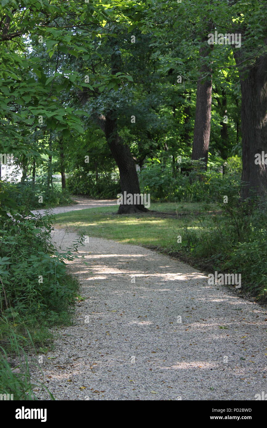 Gravel path winding thru the dense forest full of trees Stock Photo - Alamy