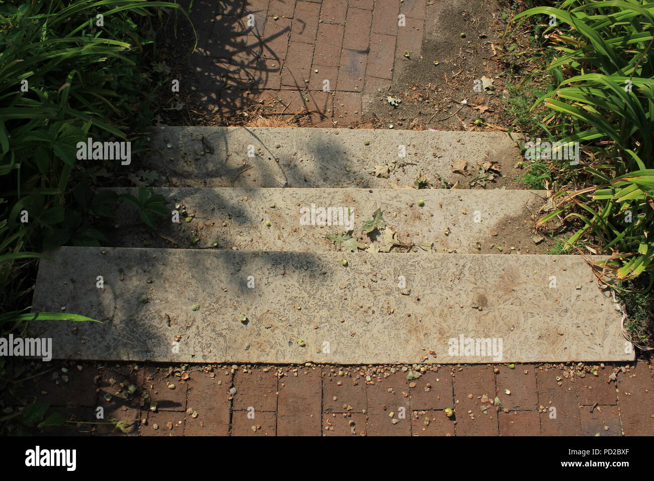 Stone steps leading down to the trail Stock Photo - Alamy