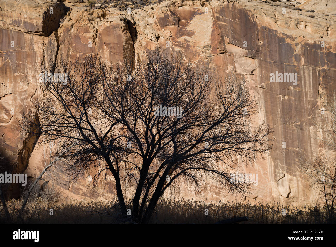 Capital Reef National Park Stock Photo - Alamy