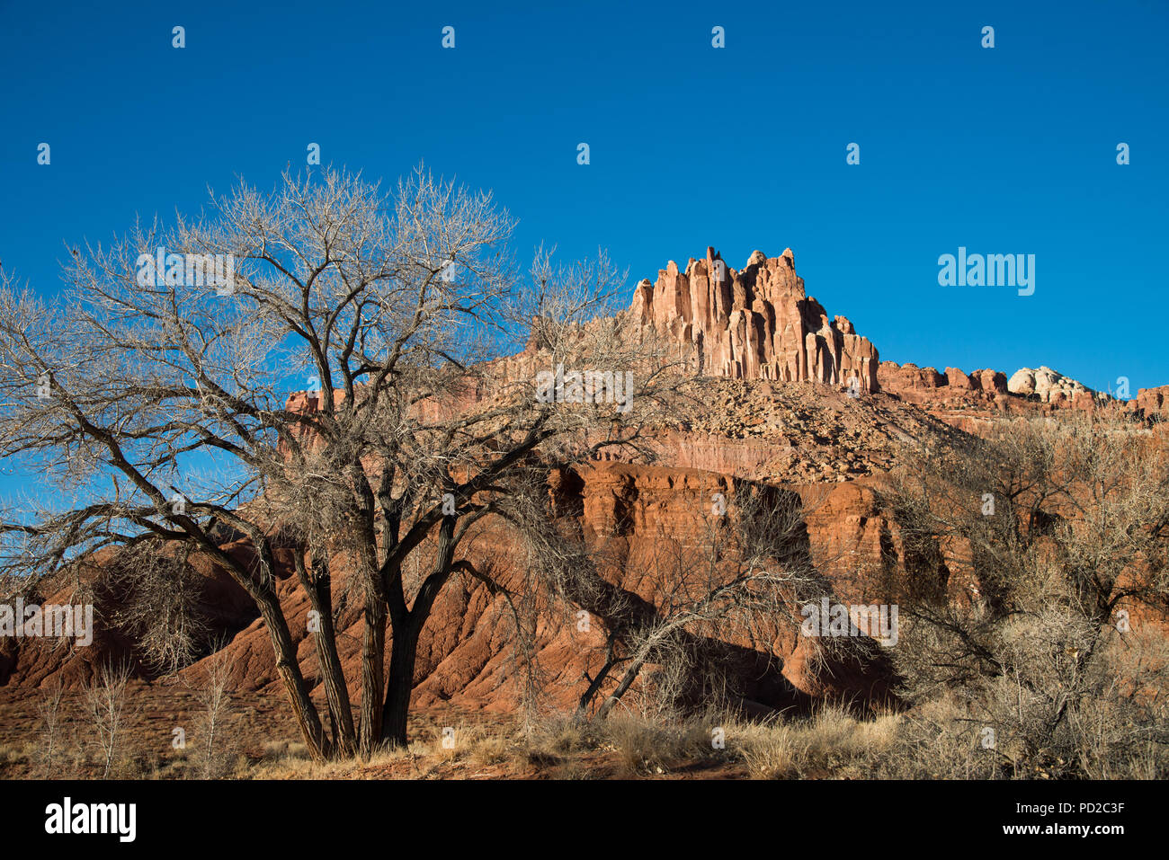 Capital Reef National Park Stock Photo - Alamy