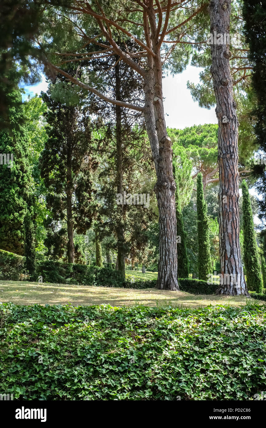 Santa clotilde gardens hi-res stock photography and images - Alamy