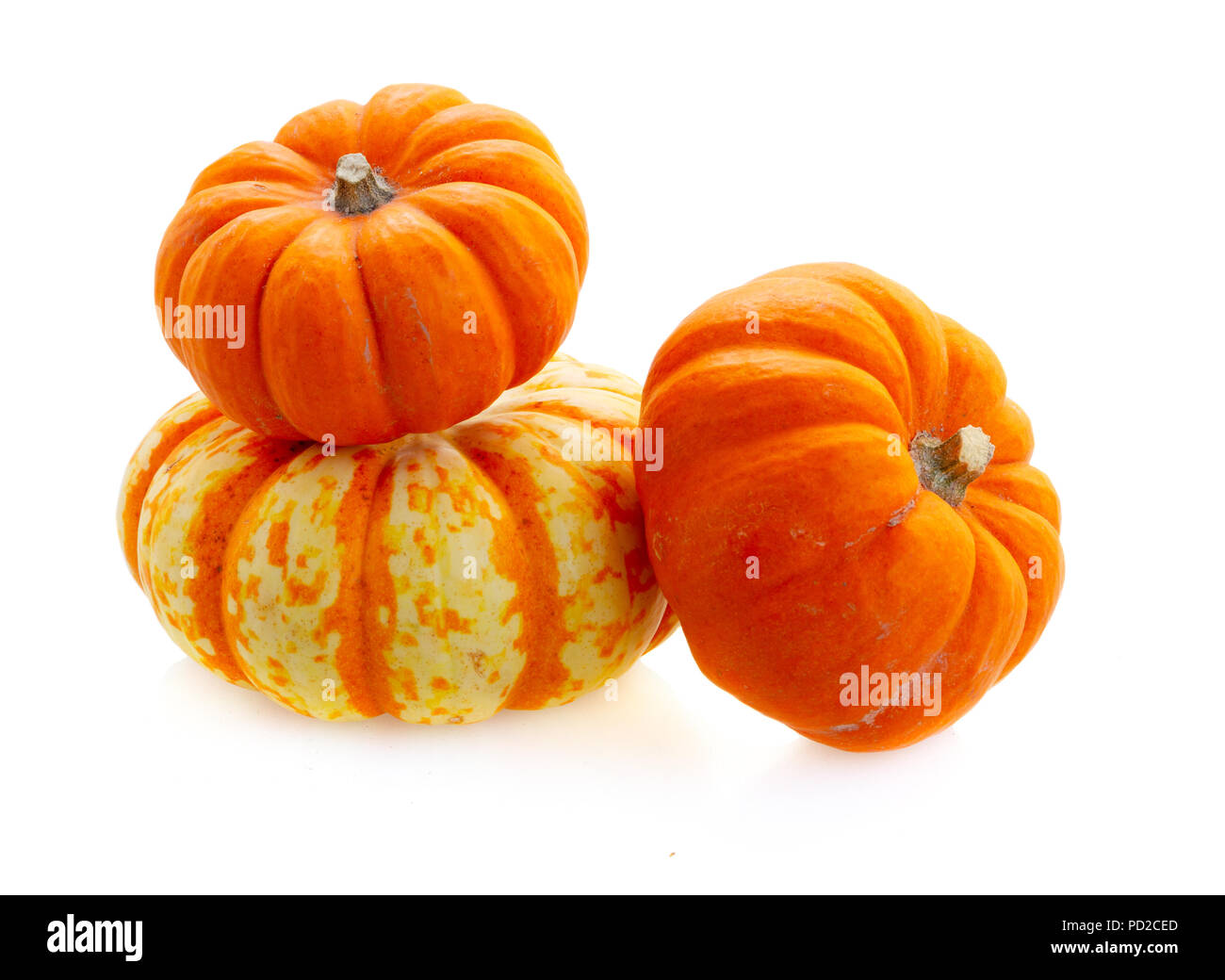 Fall harvest of pumpkins Stock Photo - Alamy