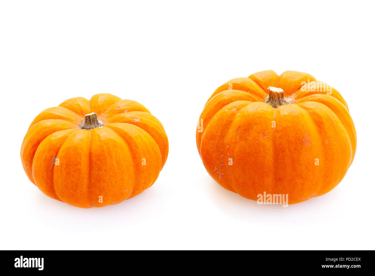 Fall harvest of pumpkins Stock Photo - Alamy