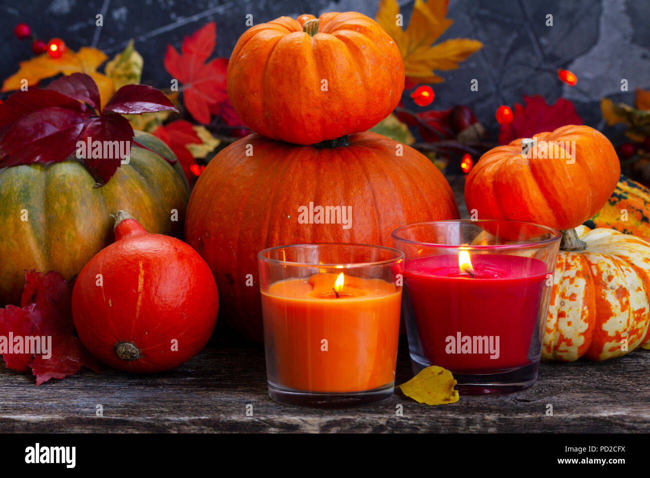 Fall harvest of pumpkins Stock Photo - Alamy