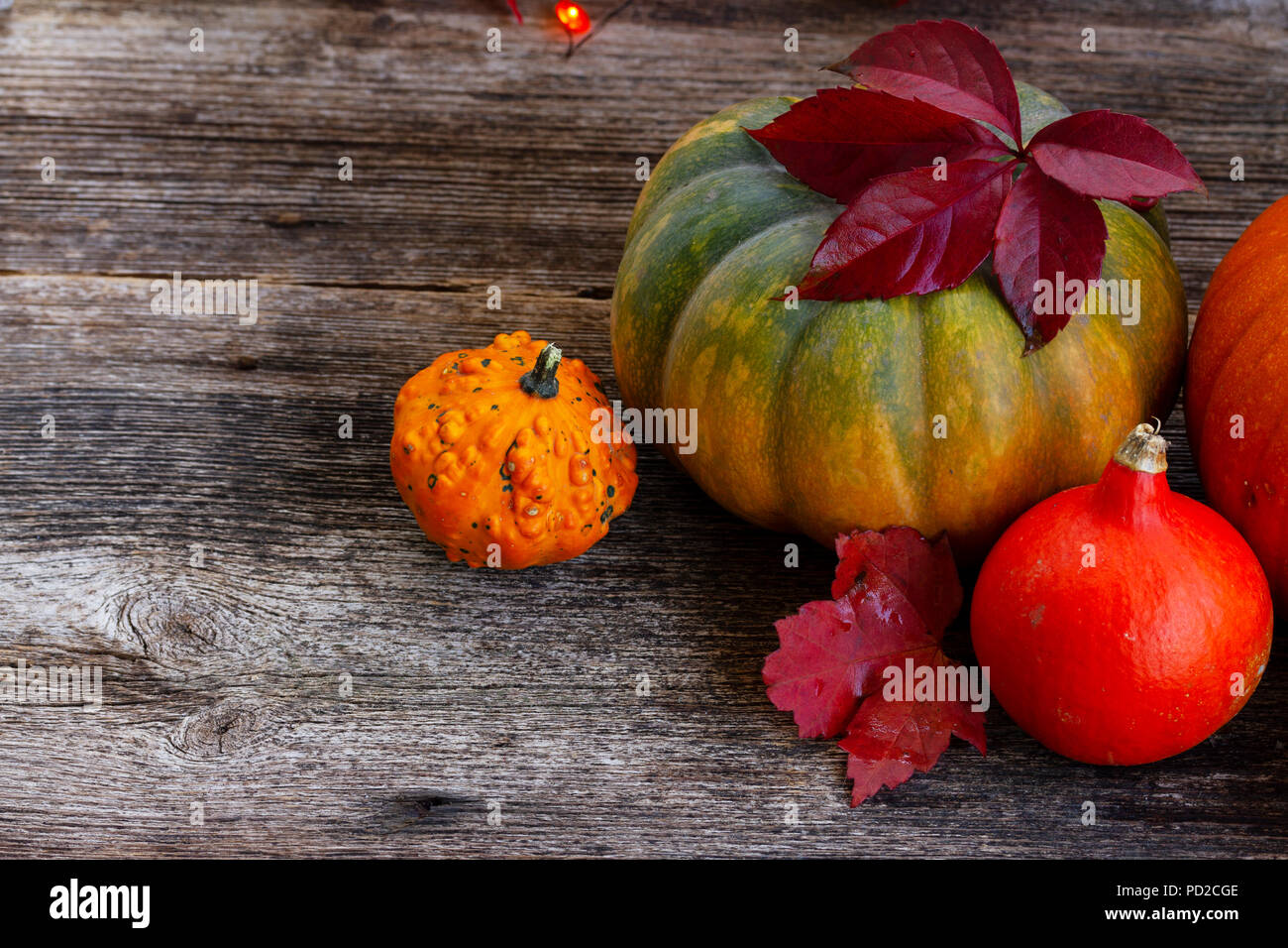 Fall harvest of pumpkins Stock Photo - Alamy