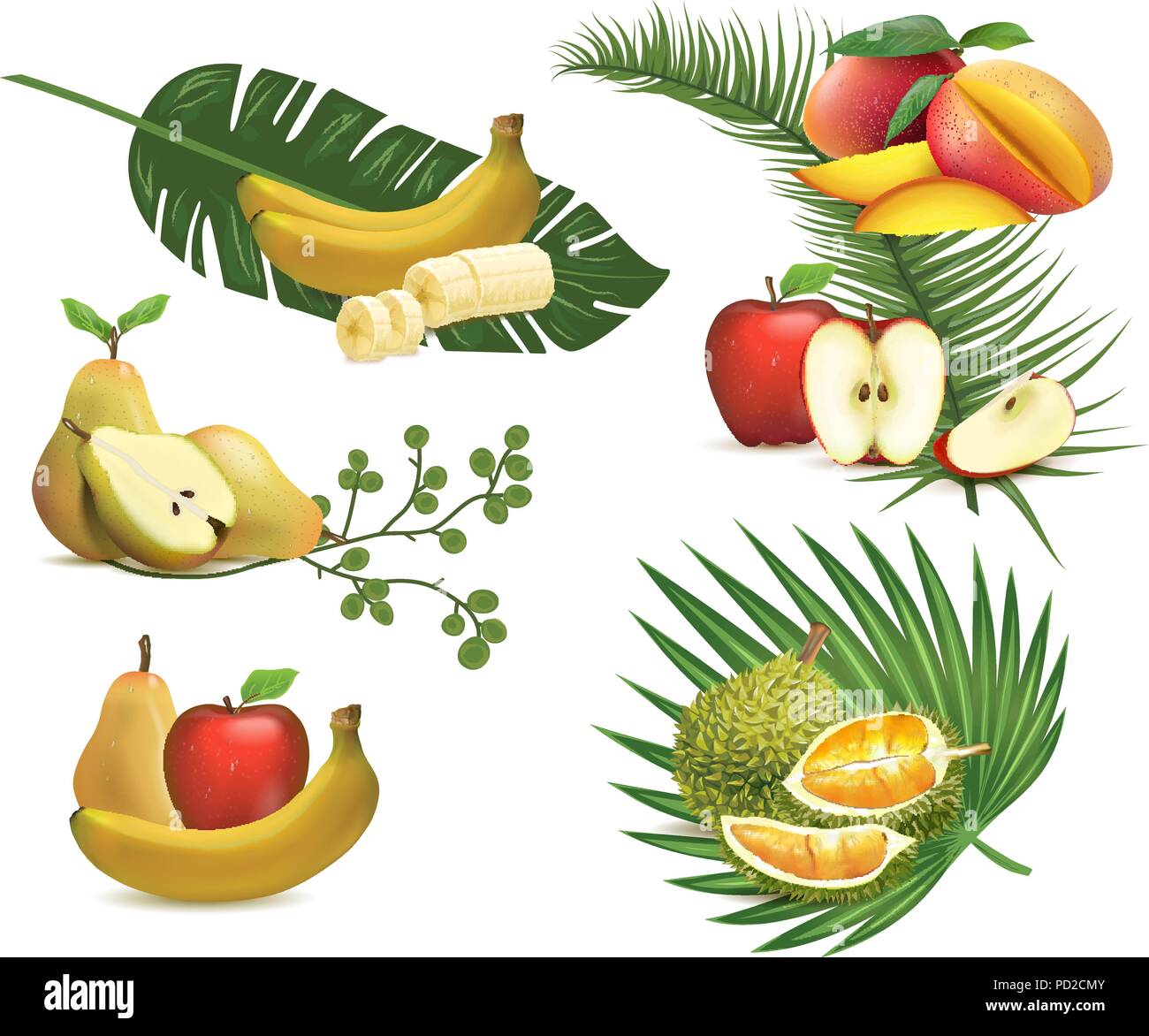 Set of realistic fruits, the illustration of tropical foliage Stock ...