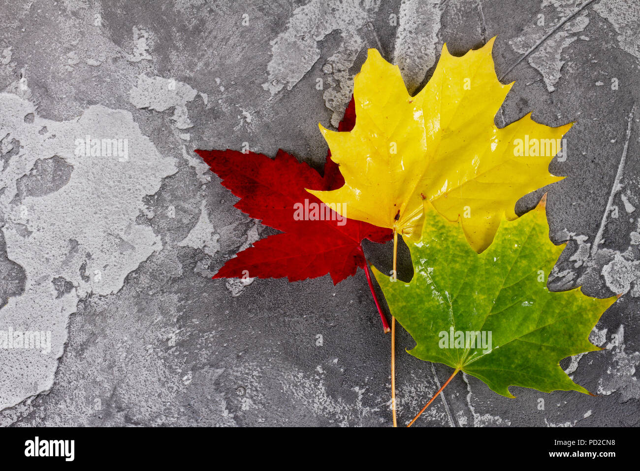 Natural fall leaves Stock Photo - Alamy