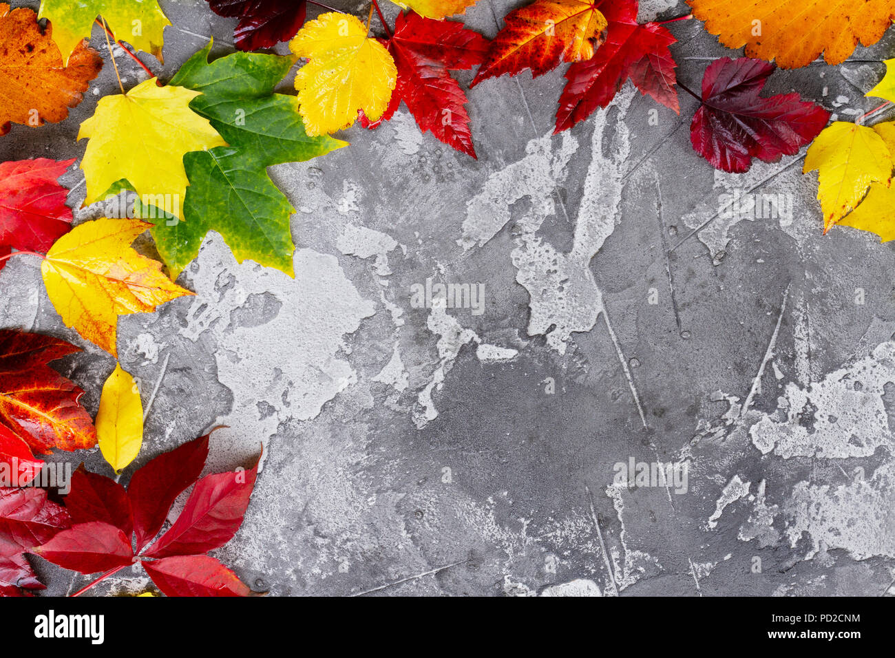 Natural fall leaves Stock Photo - Alamy