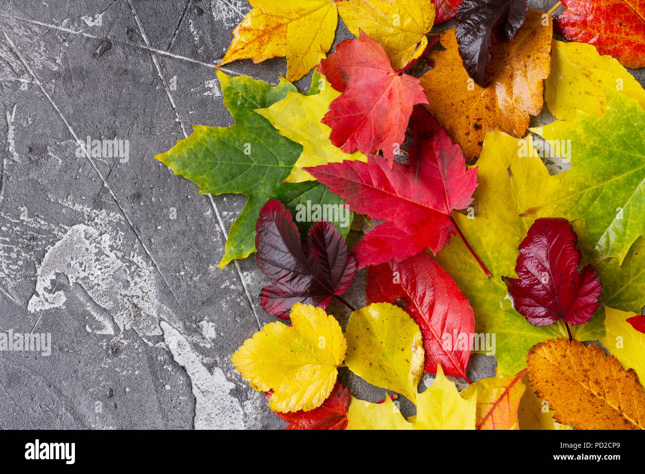 Natural fall leaves Stock Photo - Alamy