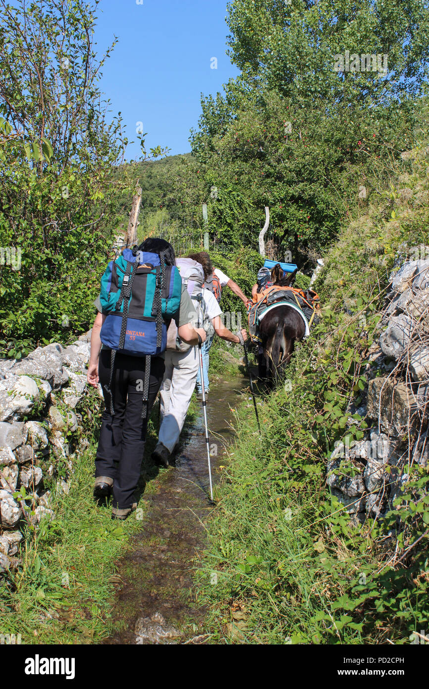 Donkey carrying goods hi-res stock photography and images - Alamy