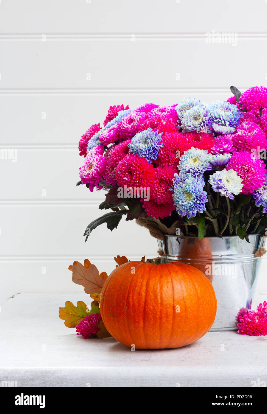 fall chrysanthemum flowers Stock Photo - Alamy