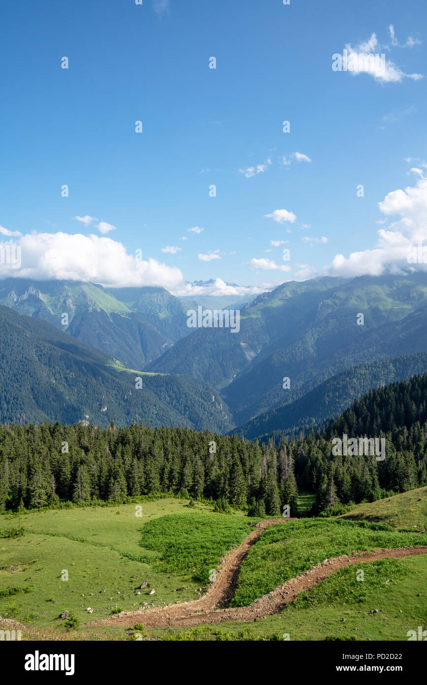 Kackar mountains with green forest landscape in Rize,Turkey Stock Photo ...