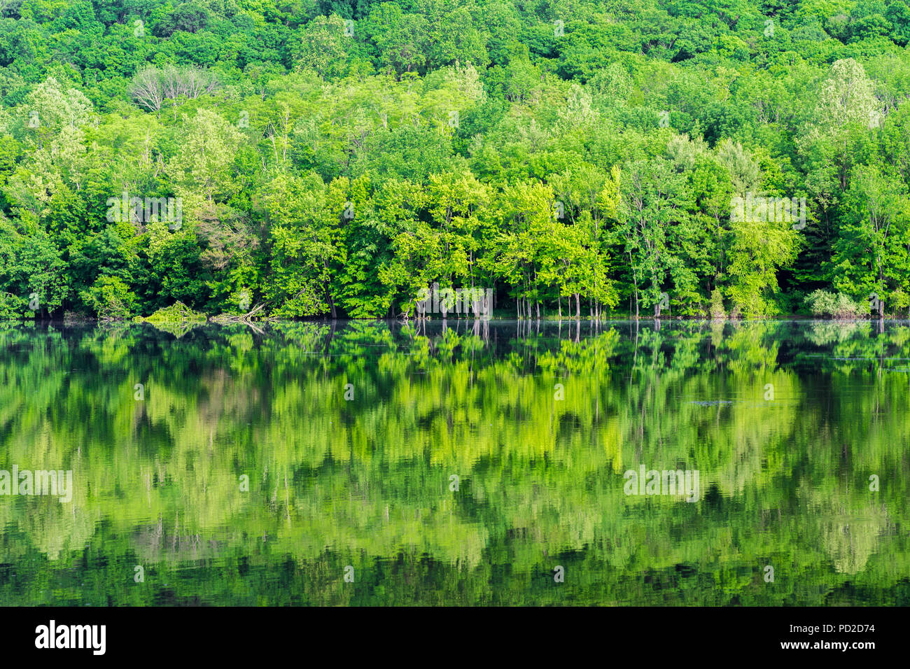 Backwoods people hi-res stock photography and images - Alamy