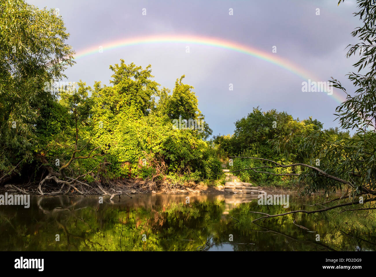 Rainbow over tree in beautiful light hi-res stock photography and ...