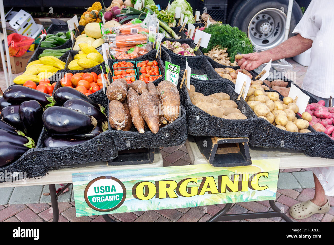 Florida, FL, South, Palm Beach County, Boca Raton, Royal Palm Place ...