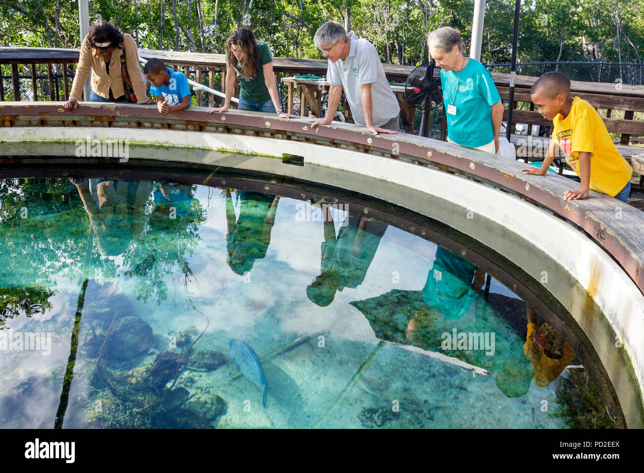 Using salt to preserve fish hi-res stock photography and images - Alamy