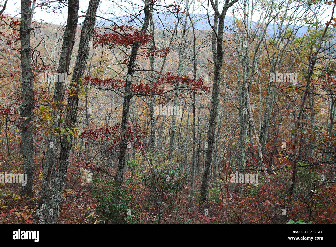 Hiking in shenandoah hi-res stock photography and images - Alamy