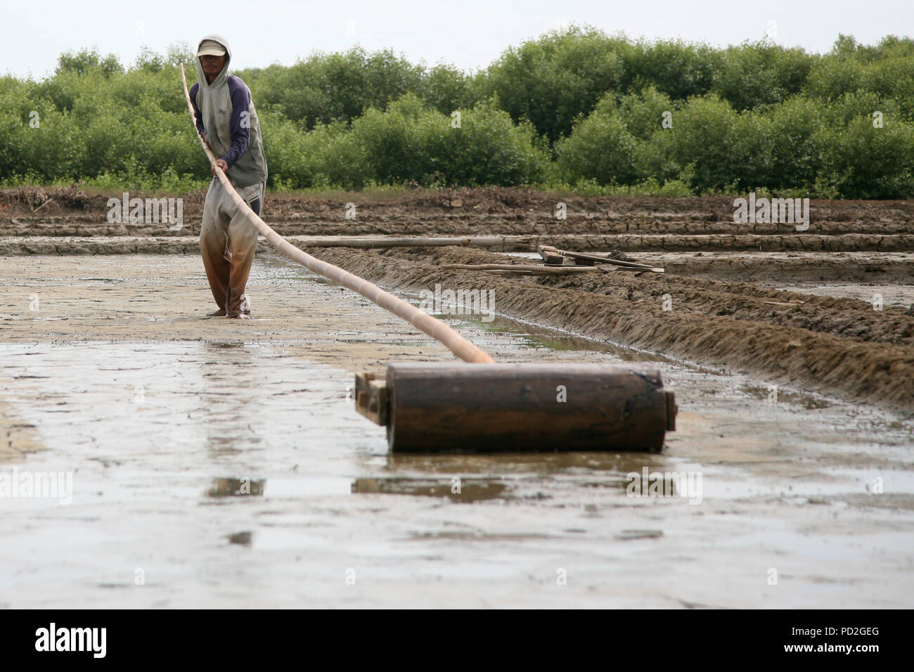 Cirebon, Indonesia. 21st June, 2018. Salt farmers in Gebang Mekar ...