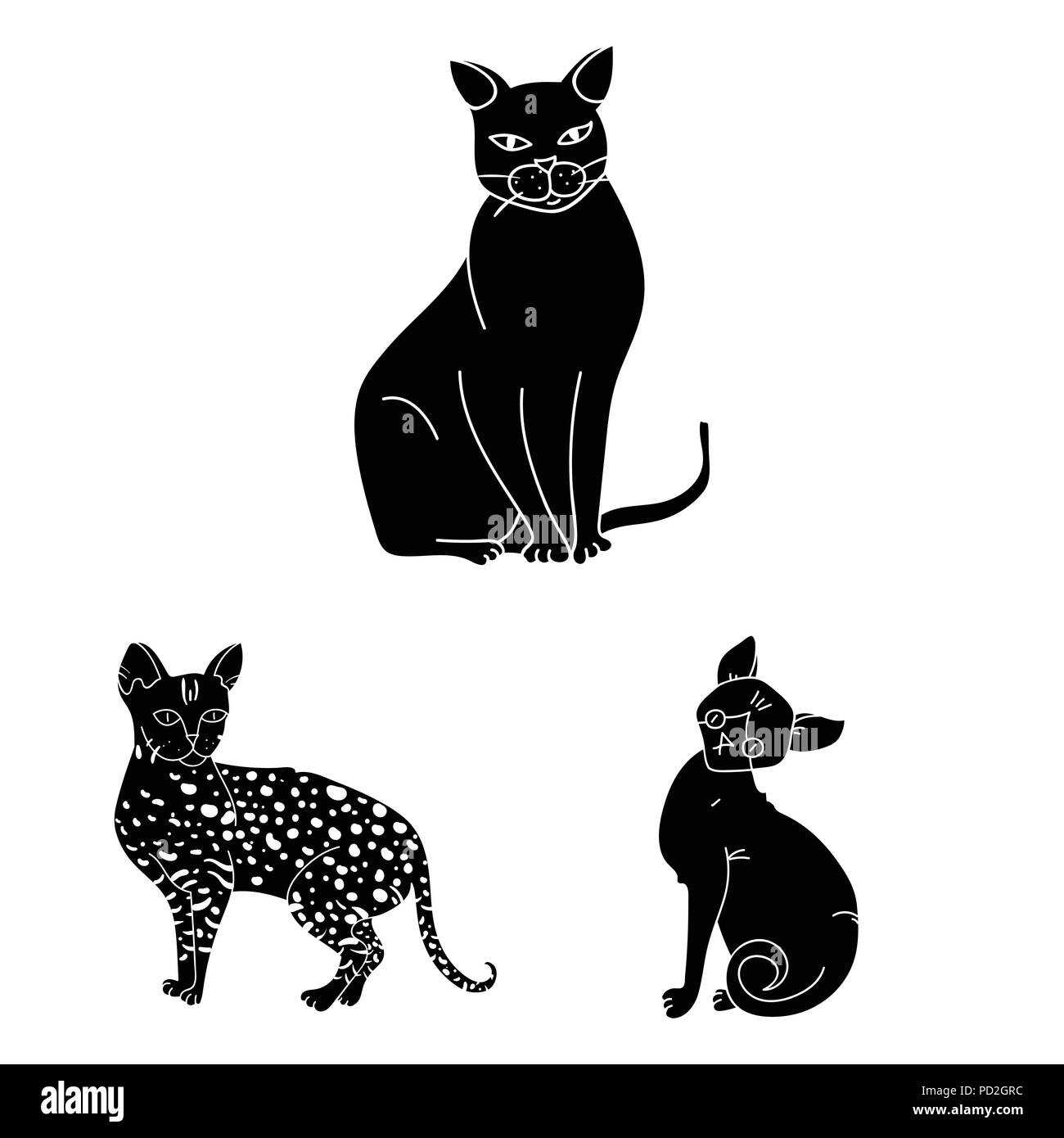 Breeds of cats black icons in set collection for design. Pet cat vector ...