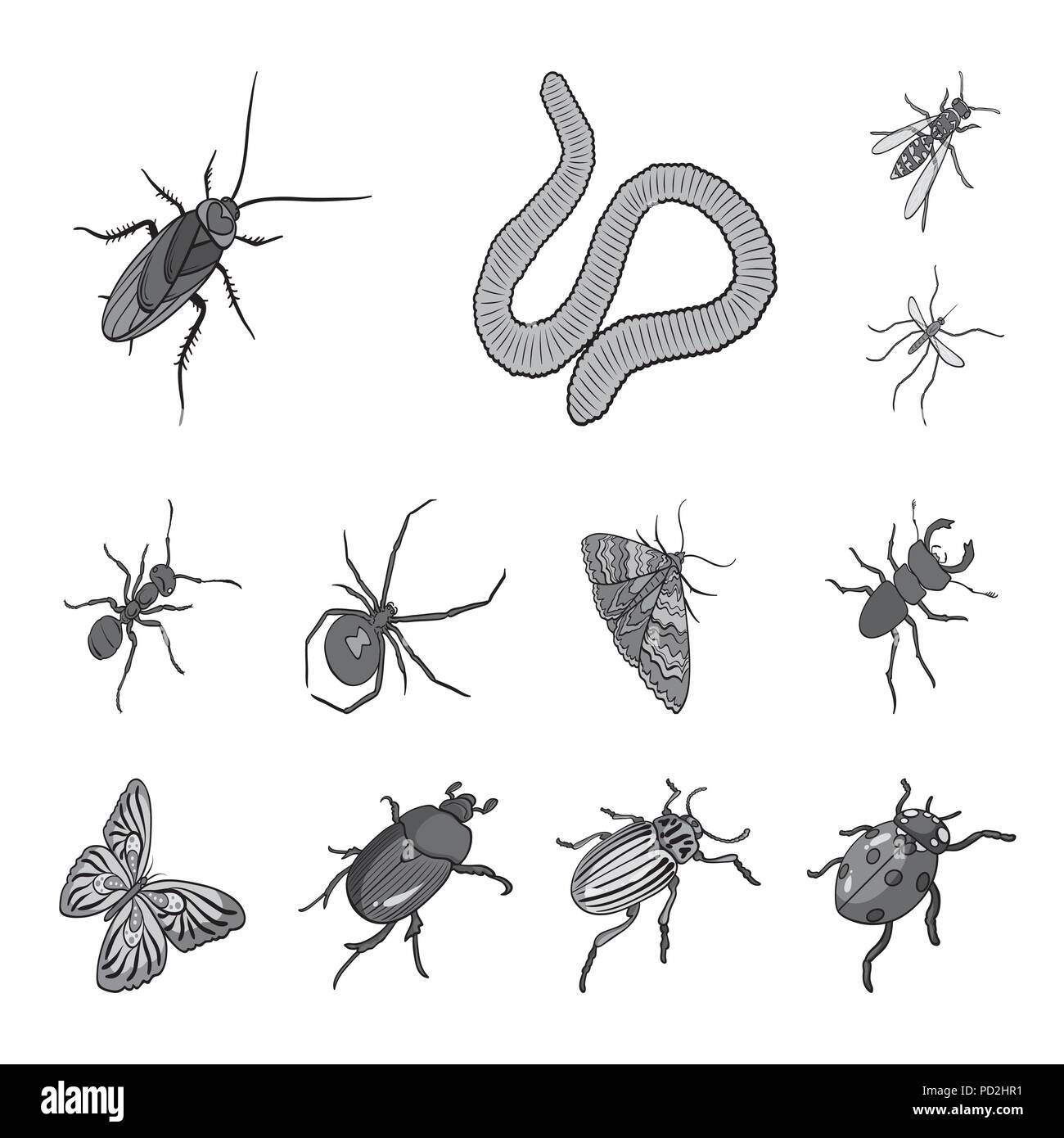 Different kinds of insects monochrome icons in set collection for ...
