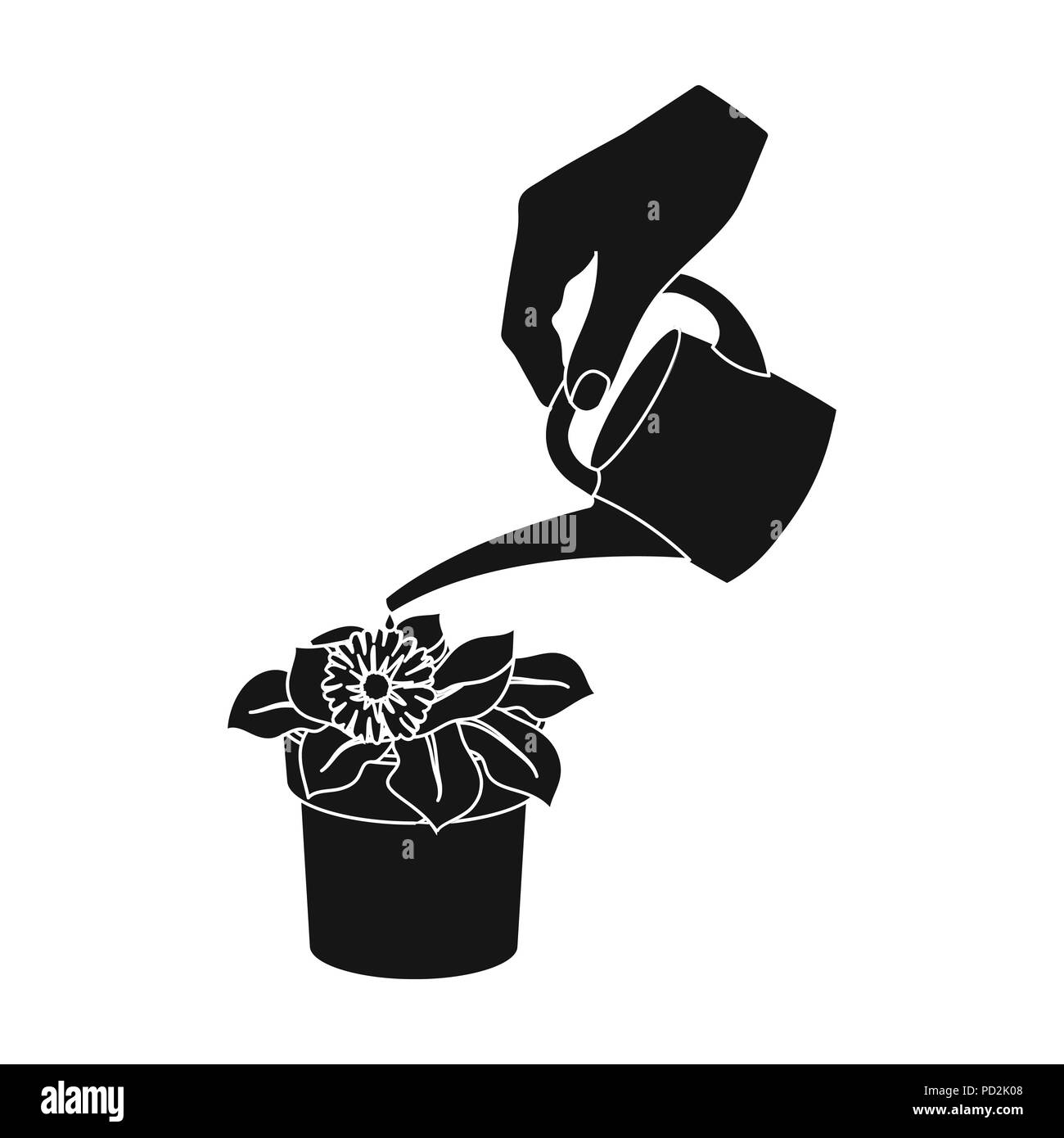 black,can,care,floriculture,flower,flowerpot,gesture,growing,grown,hand ...