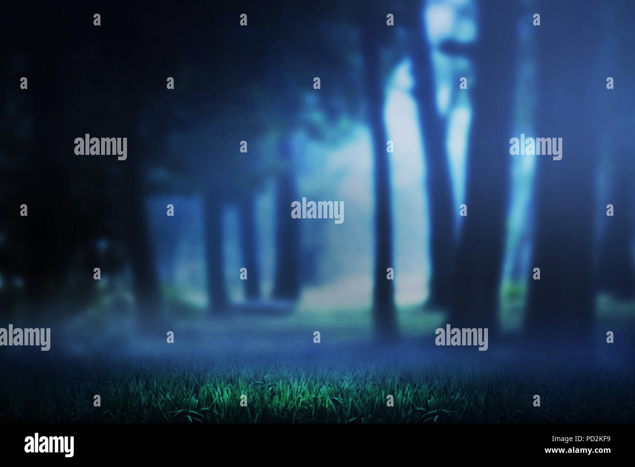 Dark misty grass background hi-res stock photography and images - Alamy