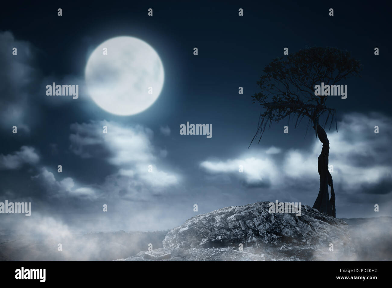 Foggy night with tree and moonlight. Halloween background Stock Photo ...