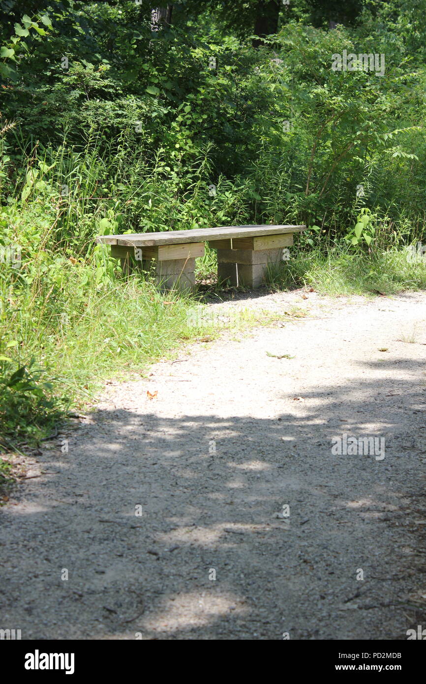 A park bench in the middle of the natural environment and heavily ...
