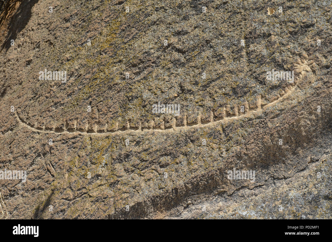 Ancient petroglyphs in Gobustan (Qobustan), Azerbaijan Stock Photo - Alamy