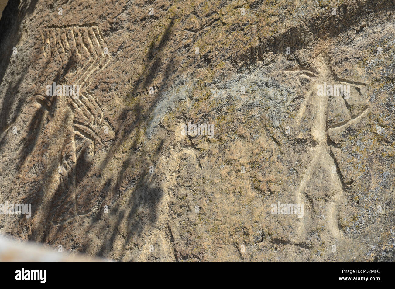 Ancient petroglyphs in Gobustan (Qobustan), Azerbaijan Stock Photo - Alamy