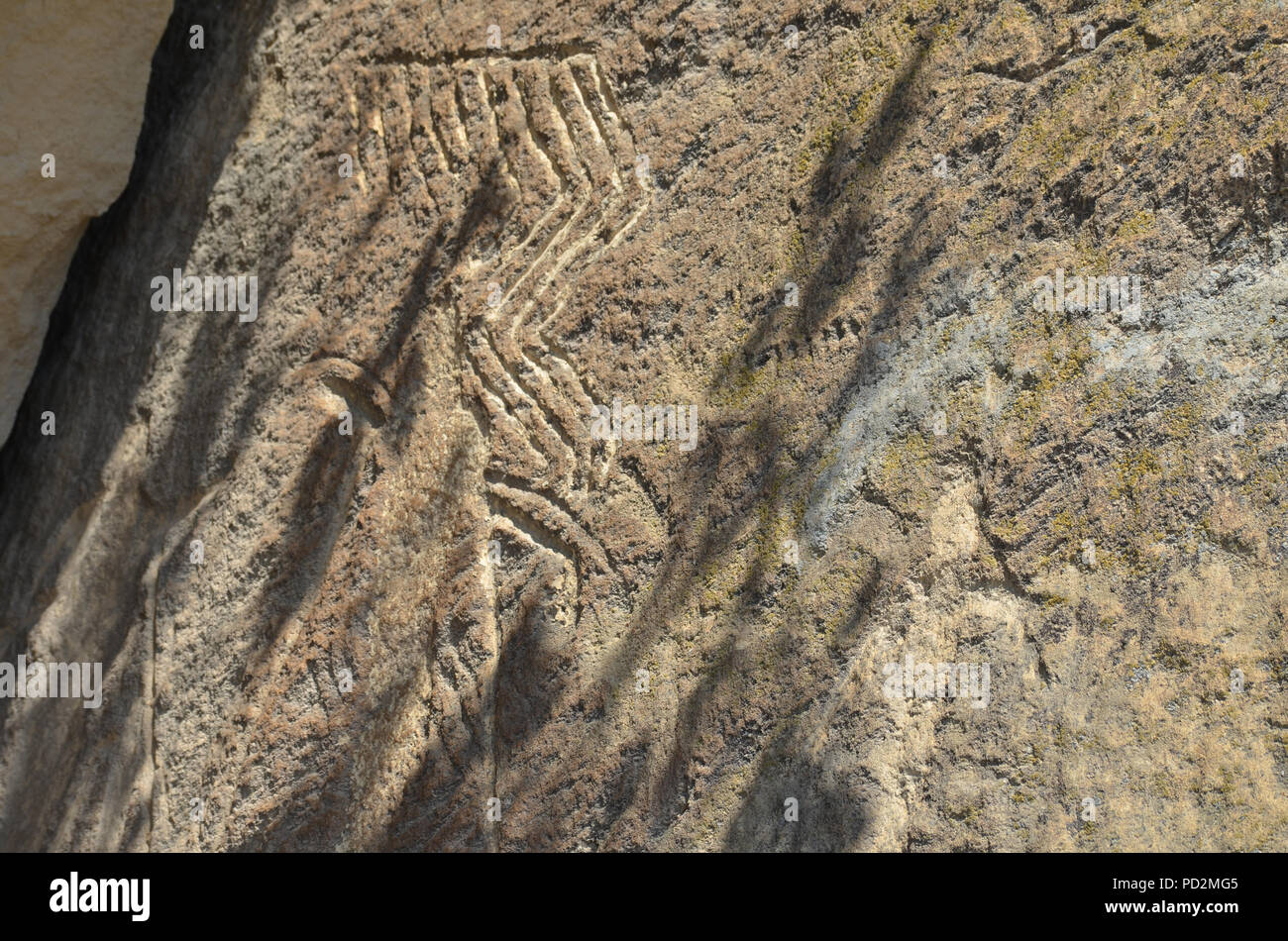 Ancient petroglyphs in Gobustan (Qobustan), Azerbaijan Stock Photo - Alamy