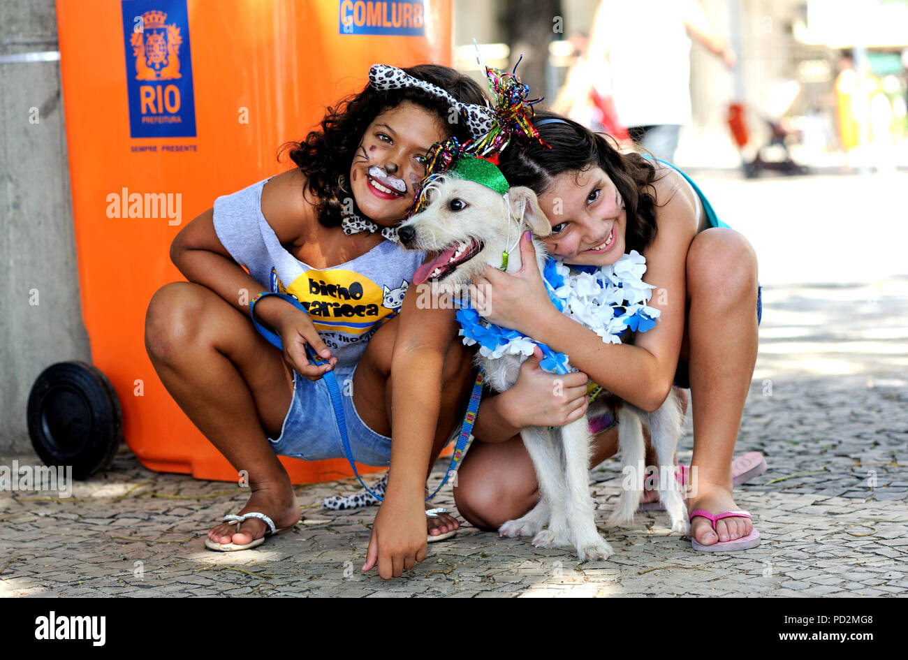 Carnival, Rio de Janeiro, Brazil - January 31, 2016: Revelers and a ...